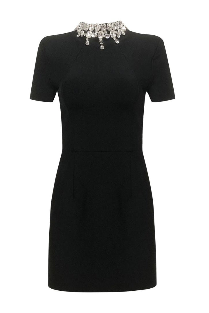 Jessica Bara Viara Crystal High Neck Short Sleeve Mini Dress – JESSICA BARA
